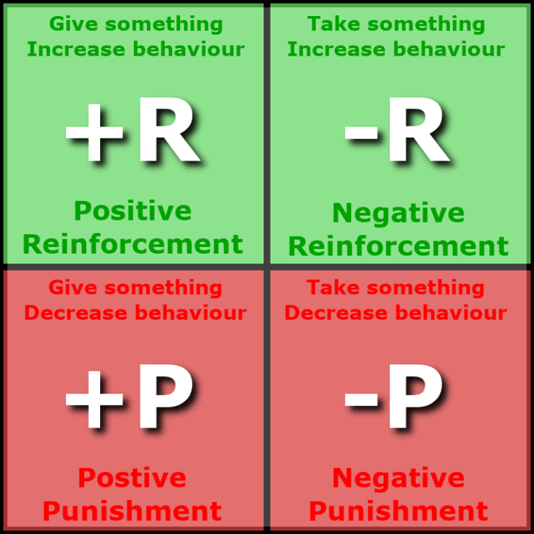 Positive Dog Training - Simple Solutions - Richie's Room